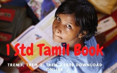 1 Std Tamil Book Free Download 2025